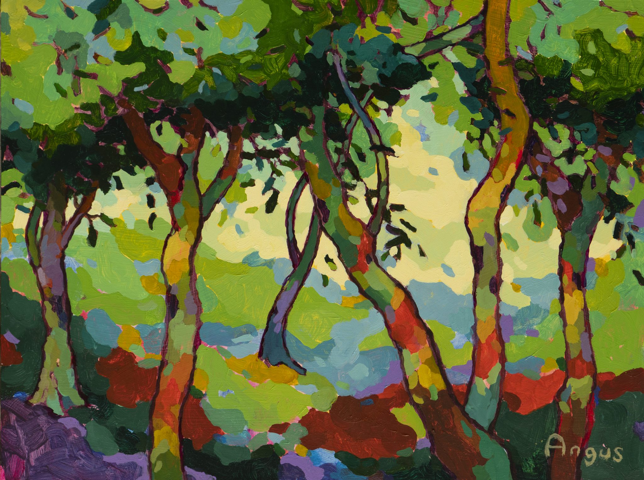 In the Studio with Angus Wilson | Ann Korologos Gallery