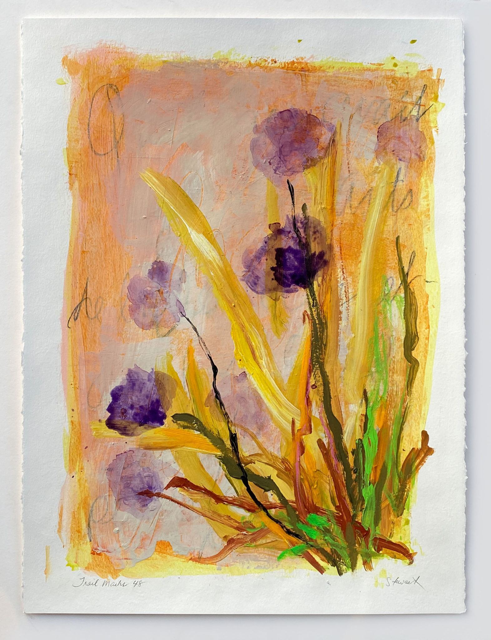 Allison Stewart | Ann Korologos Gallery