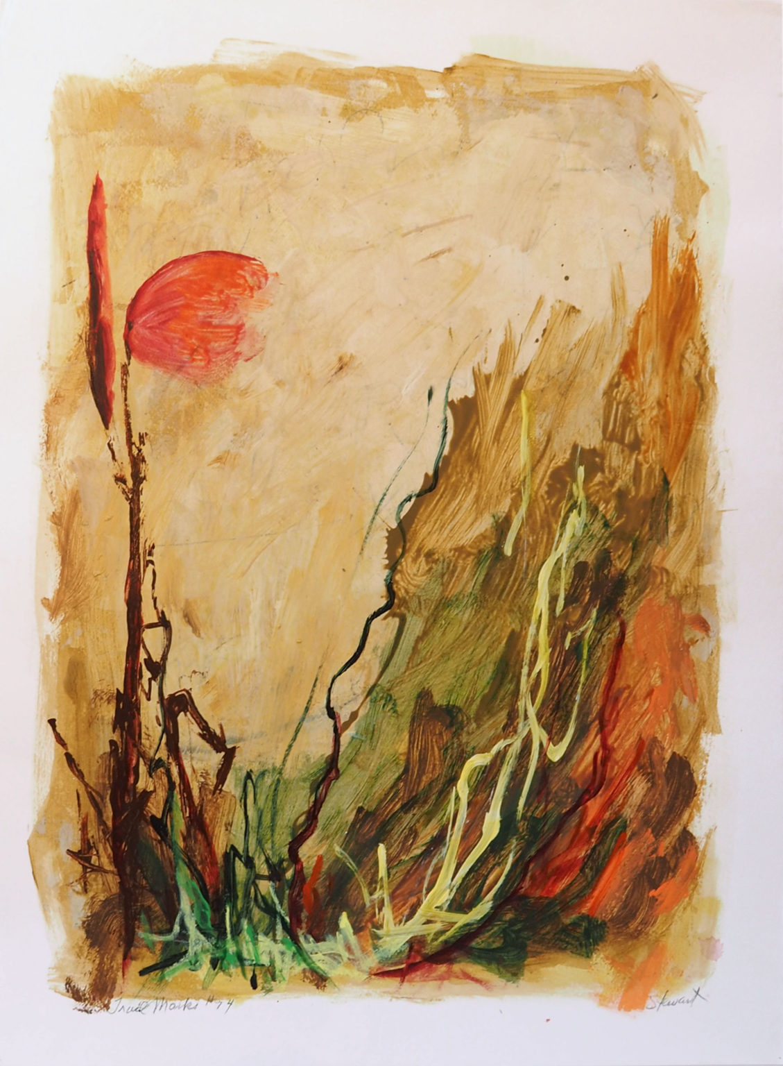 Allison Stewart