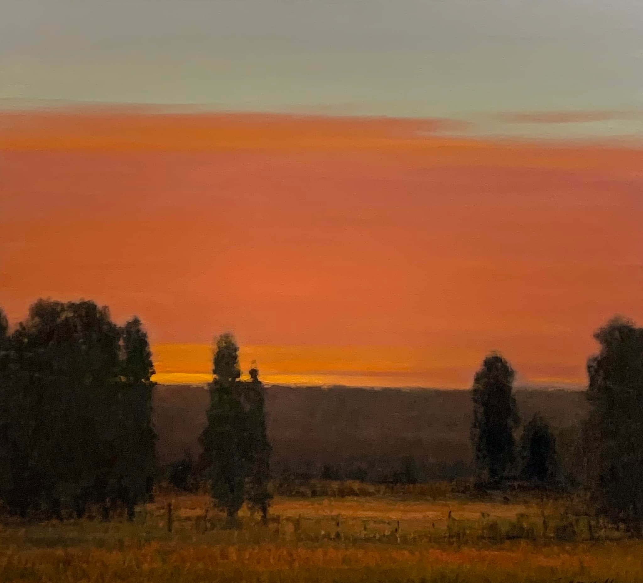 Peter Campbell - Old Growth Pines