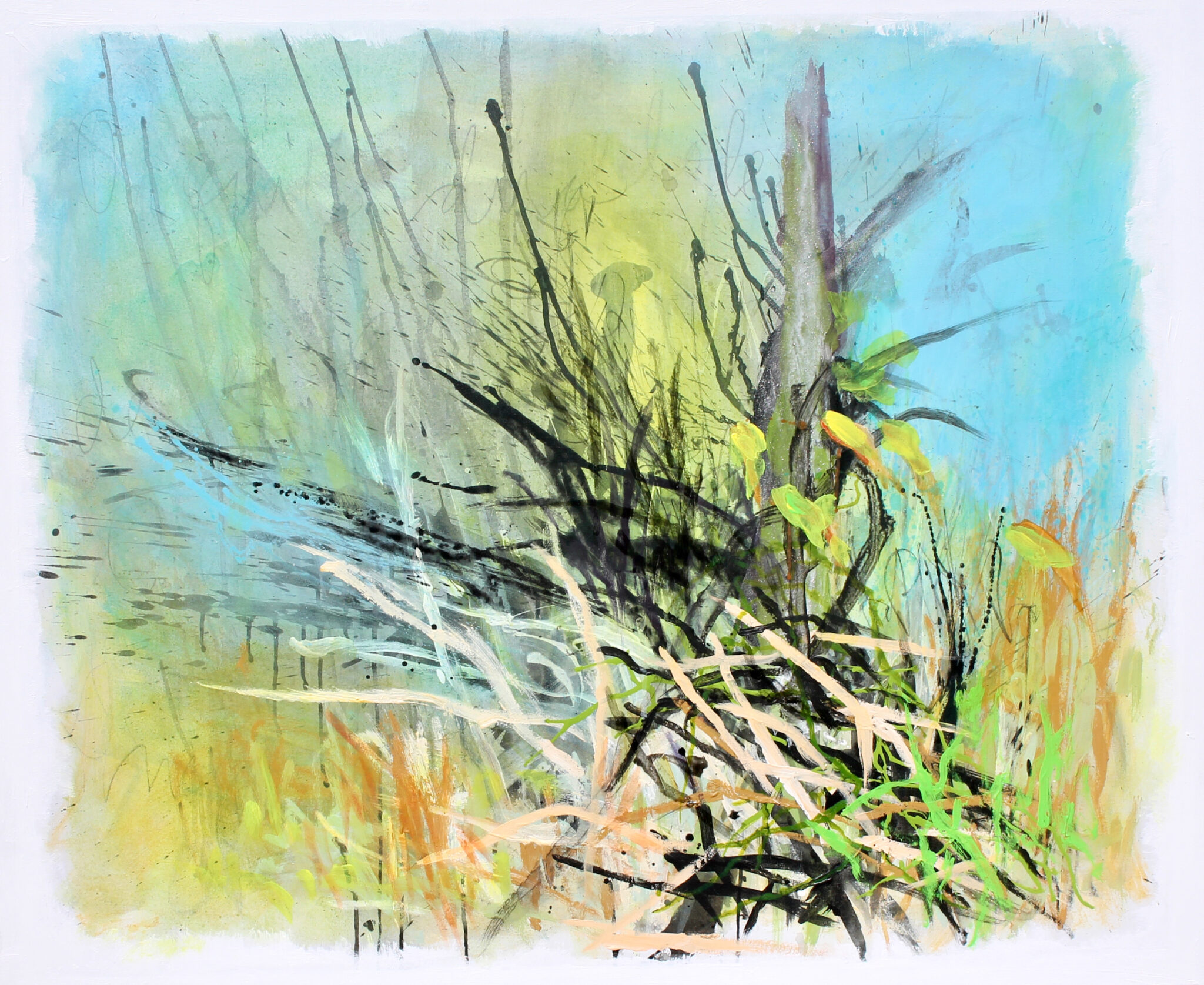 Allison Stewart | Ann Korologos Gallery