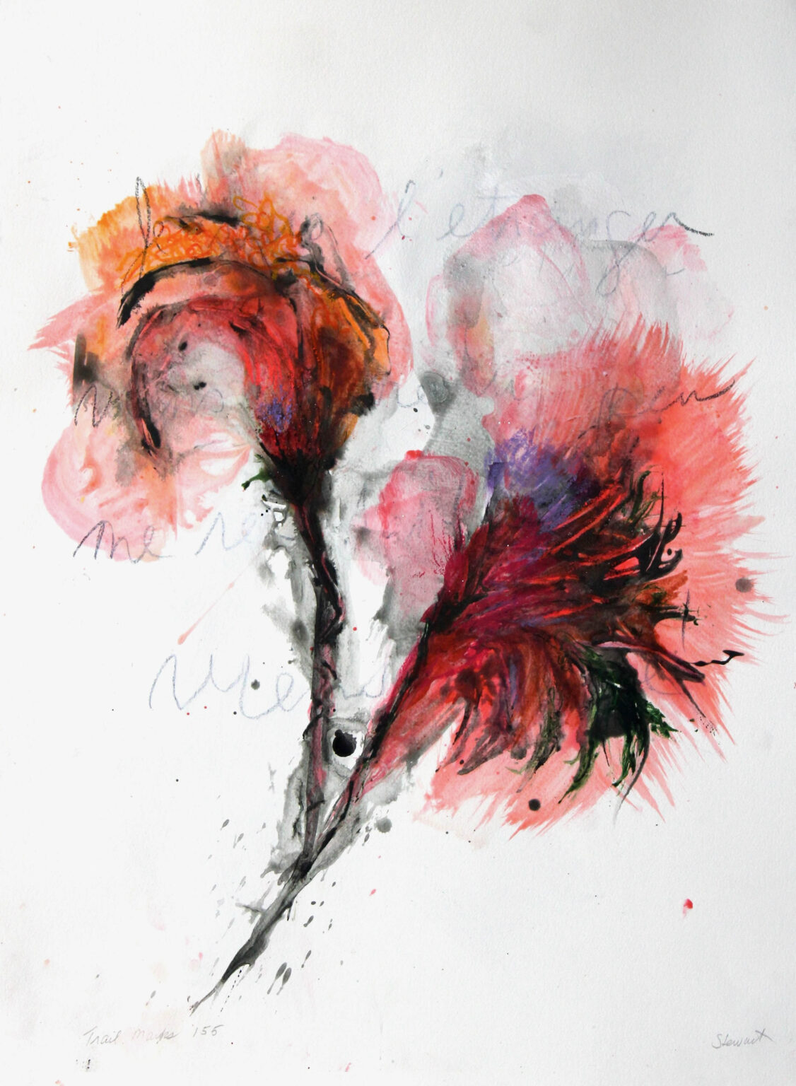 Allison Stewart | Ann Korologos Gallery